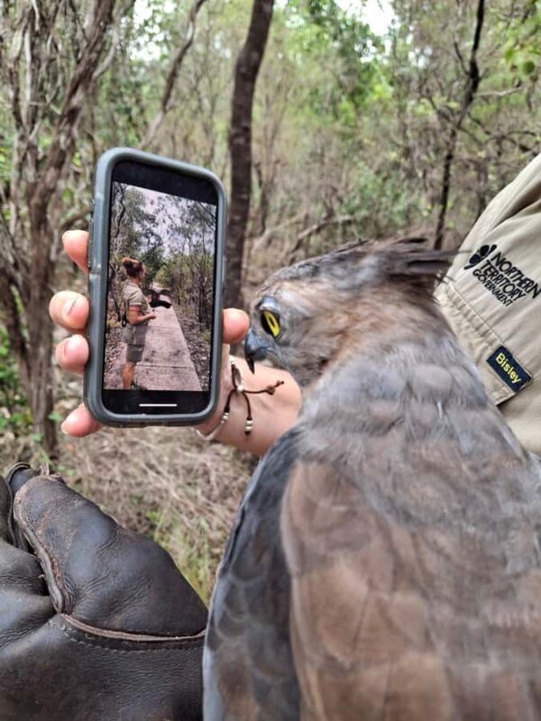 Darwin: Territory Wildlife Park Entry Ticket - An Inside Look at the Darwin Territory Wildlife Park
