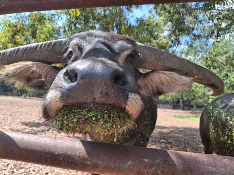 Darwin: Territory Wildlife Park Entry Ticket - Final Thoughts