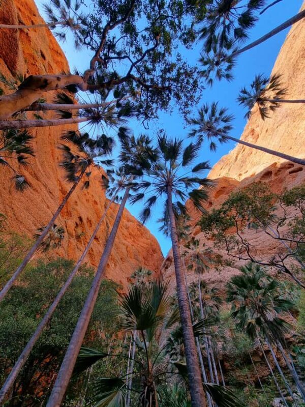 Darwin to Bungle Bungles: Day Trek with Aboriginal guides - Key Points