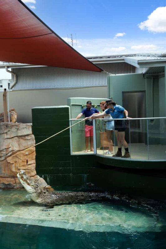 Darwin: VIP Crocosaurus Cove Experience - Introduction to the VIP Crocosaurus Cove Experience