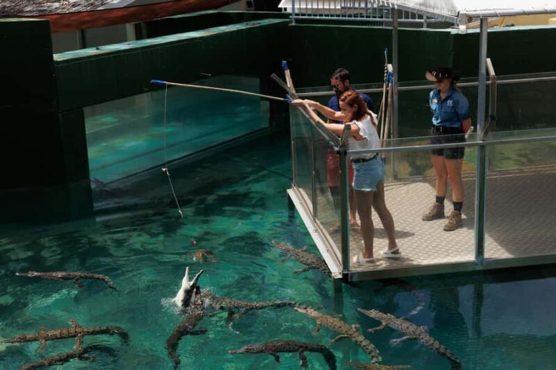 Darwin: VIP Crocosaurus Cove Experience - The Experience Providers and Guides