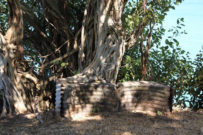 Darwin Walking Tour: World War II Reflections - A Closer Look at the Tour Experience