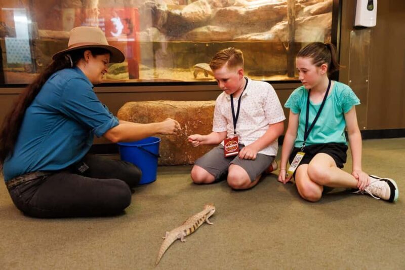 Darwin: Whipray Encounter with Entry to Crocosaurus Cove - Key Points