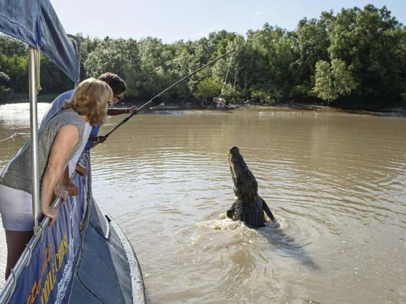 Darwin6 Day Darwin Tour Package - Exploring the Darwin6 Day Tour Package: A Balanced Look at Australia’s Top End