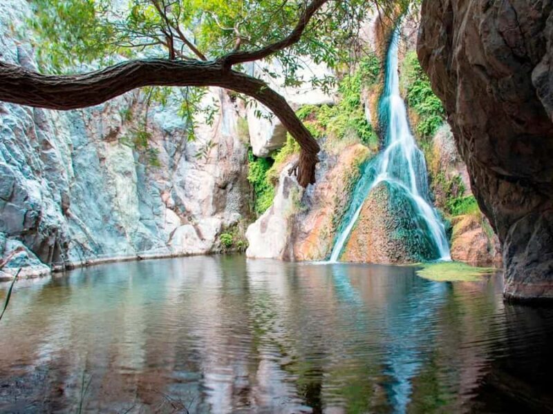 Darwin6 Day Darwin Tour Package - Practical Considerations and Value