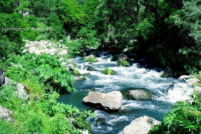 Dashbashi Canyon. The village of Asureti and Didgori monument. - Detailed Breakdown of the Itinerary