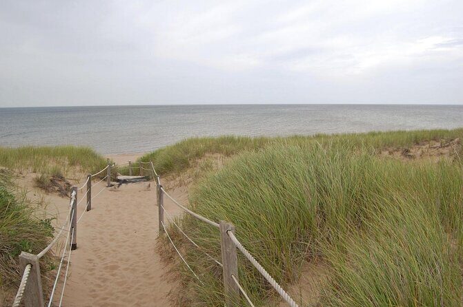 Davids North Shore Tour - Key Points