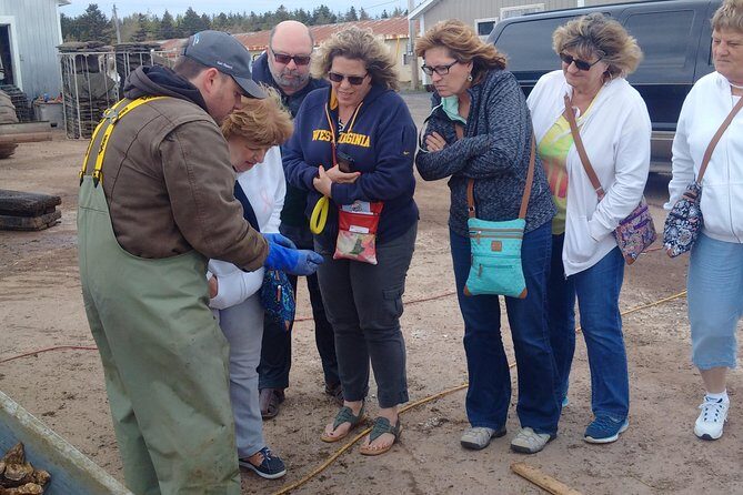 Davids North Shore Tour - An Overview of What to Expect