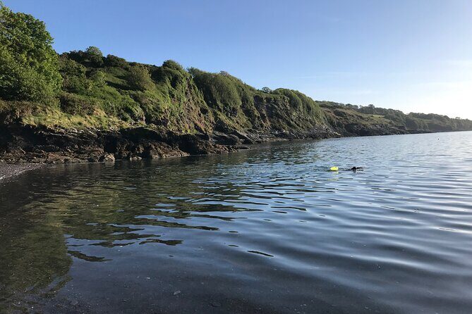 Dawn Pilgrimage and Swim in West Cork - Authentic Experiences as Highlighted by Reviewers  