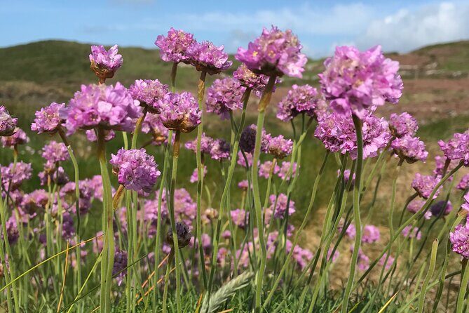 Dawn Pilgrimage and Swim in West Cork - FAQs  