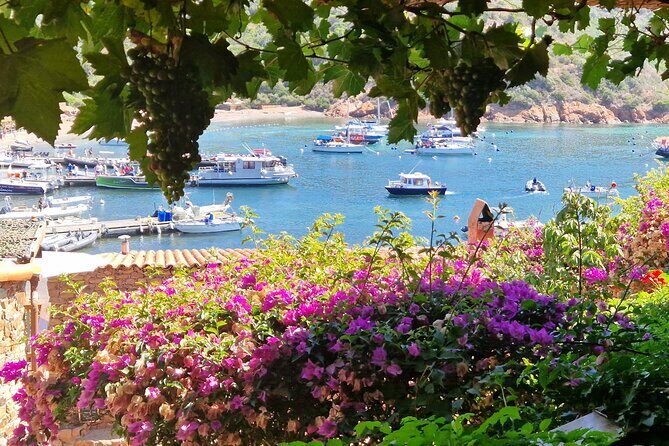 Day at Scandola and Calanques de Piana in a small group - Practical Tips for Travelers