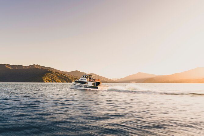 Day Cruise & Lunch at Punga Cove Resort - Practical Details & Tips