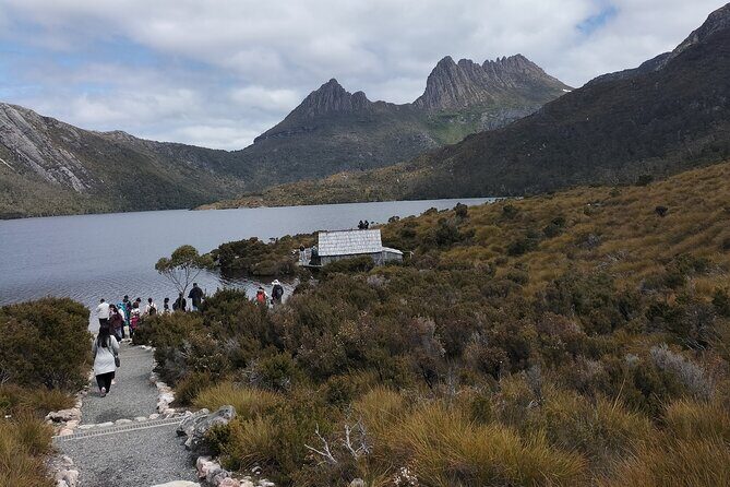 Day Excursion Burnie Cradle Mt National Park - An In-Depth Look at the Burnie to Cradle Mountain Day Trip