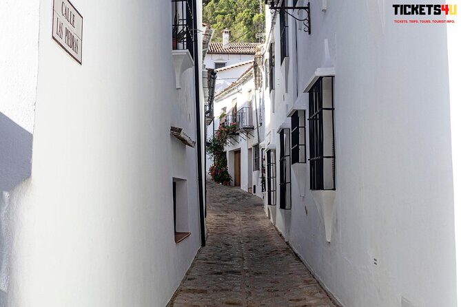 Day in Pueblos Blancos and Ronda from Seville - A Detailed Look at the Itinerary