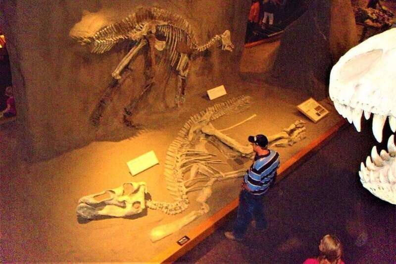 Day of Dinosaurs and Hoodoos From Calgary to the Badlands - The Rosedale Suspension Bridge: An Adventurous Crossing  