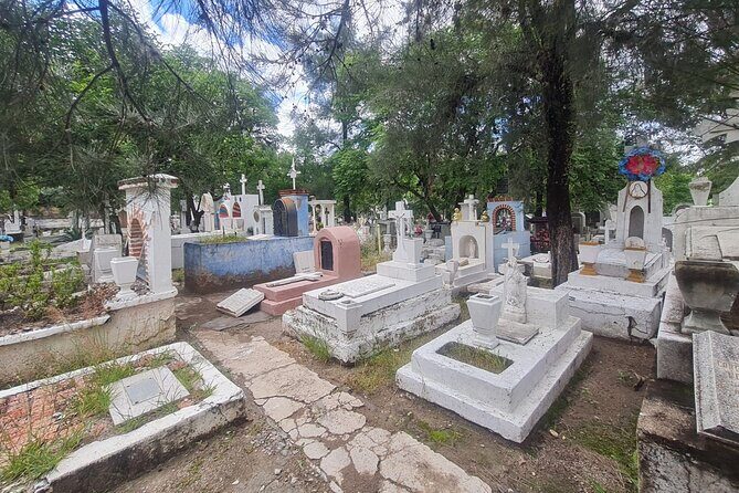 Day of the Dead Walking Tour in San Miguel de Allende - Who Will Appreciate This Tour Most?