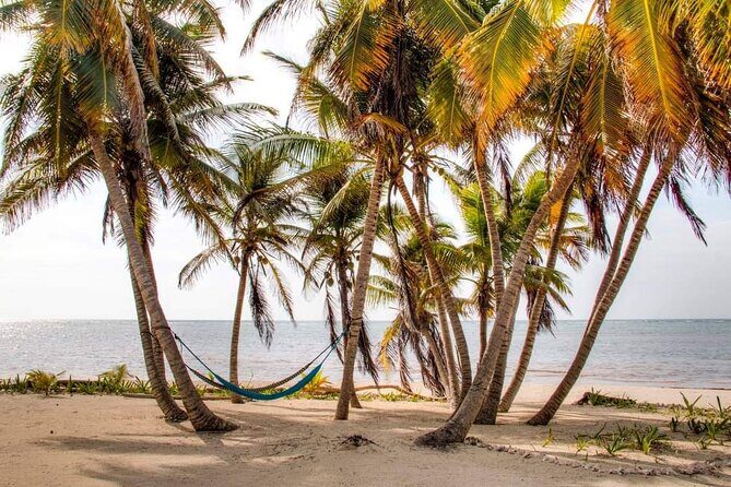 Day Pass to Private Clothing Optional Beach Resort in Xcalak - Why This Tour Works Well