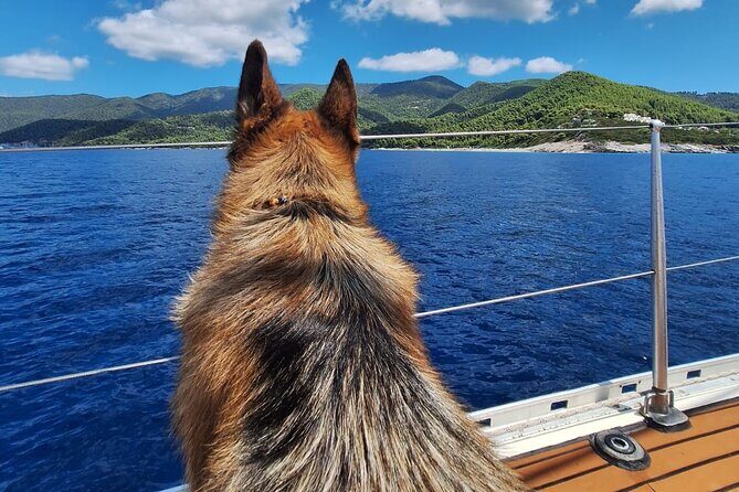Day sailing Skiathos Skopelos with lunch on Rainbow yacht - Who Will Enjoy This Tour?