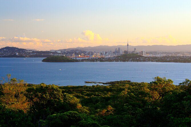 Day sea kayak tour Rangitoto Island - The Experience in Detail: What to Expect