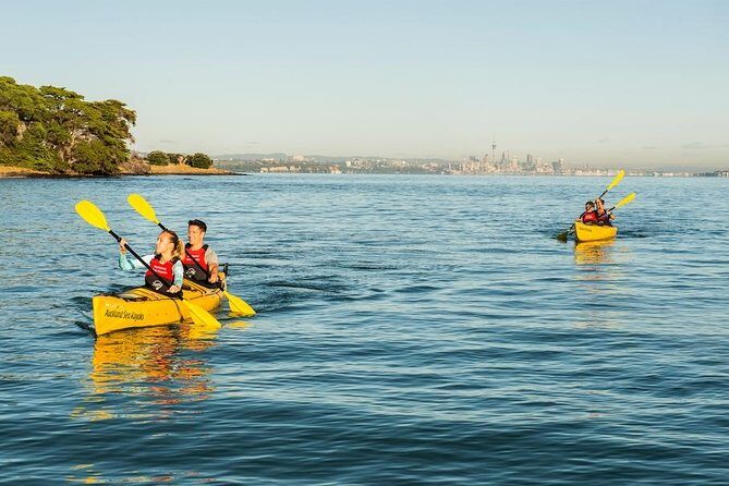 Day sea kayak tour Rangitoto Island - Authentic Insights from Reviewers