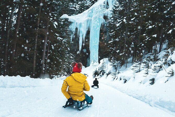 Day Sledding in Interlaken - Key Points