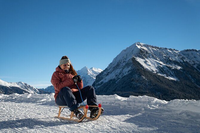 Day Sledding in Interlaken - The Authenticity & Experience