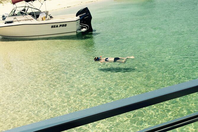 Day Snorkeling Tour in Orange Beach - Final Thoughts: Is It Worth It?