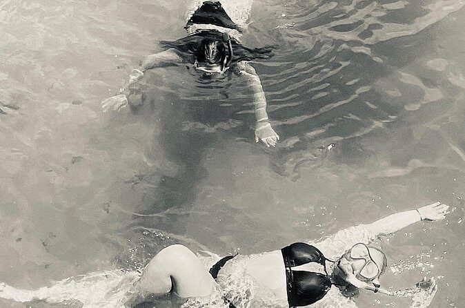 Day Snorkeling Tour in Orange Beach - FAQs