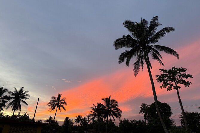 Day Tour Exploration of Fiji Culture and Nature - What’s Included and What to Keep in Mind  