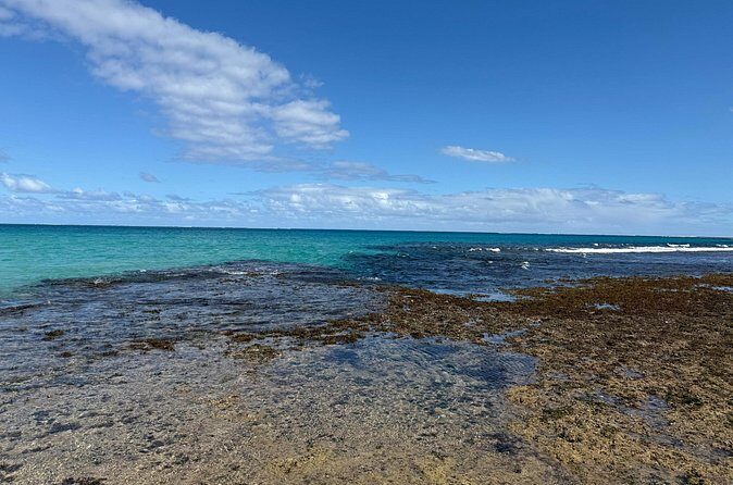 Day Tour Exploration of Fiji Culture and Nature - Final Thoughts  