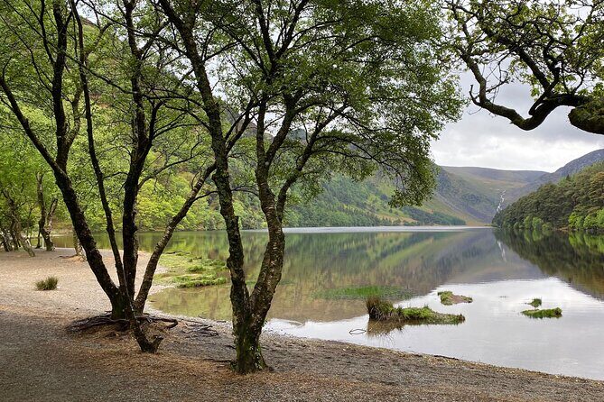 Day Tour from Dublin: Wicklow Mountains, Glendalough, Powerscourt - Is This Tour Worth the Price?