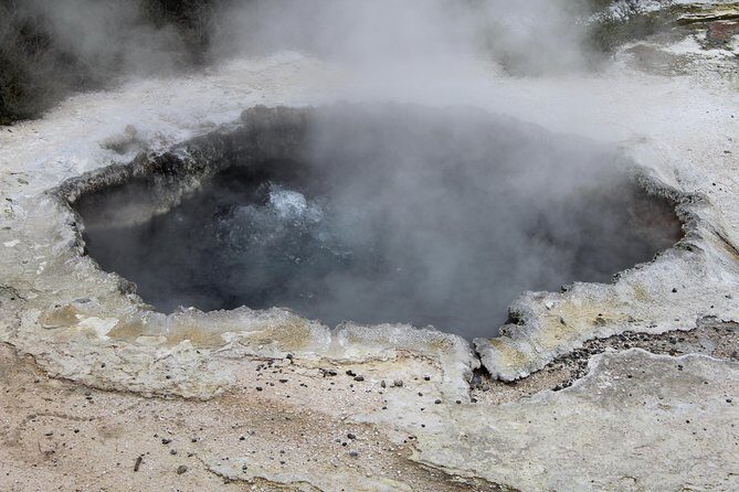 Day Tour Hobbiton + Rotorua from Auckland in Luxury Minibus - Practical Tips for Booking and Enjoying the Tour