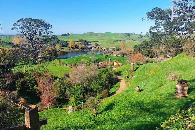 Day Tour Hobbiton + Rotorua from Auckland in Luxury Minibus - Who Is This Tour Best For?