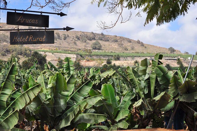 Day Tour in North of Gran Canaria with Wine Tasting - Why This Tour Offers Good Value