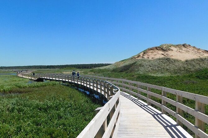 Day Tour of St. Peters Bay to Greenwich National Park - Key Points