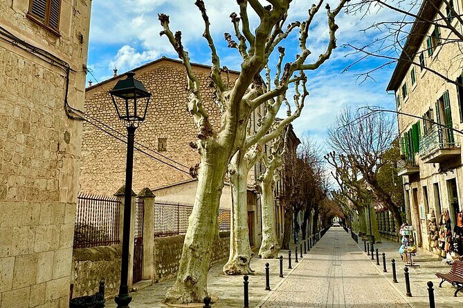 DAY TOUR or SUNSET TOUR Port de Sóller, Sóller & Valldemossa - Who Should Consider This Tour?