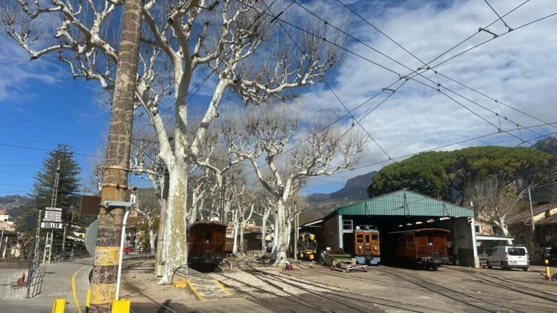 DAY TOUR or SUNSET TOUR Port de Sóller, Sóller & Valldemossa - Who Will Love This Tour?
