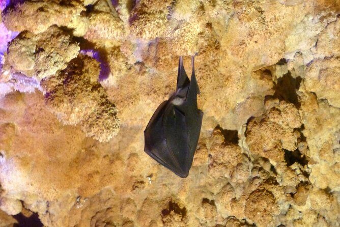 Day tour to the Natural wonders Belogradchik Rocks & Venetsa cave - Final Thoughts