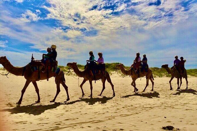 Day Tours Anna Bay and Nelson Bay Port Macquarie North Coast NSW - Key Points