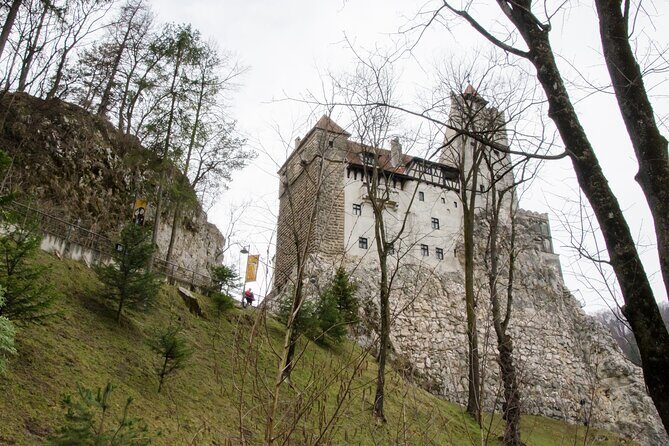 Day Trip Bear Sanctuary, Bran Castle, Rasnov Fortress from Brasov - An In-Depth Look at the Itinerary