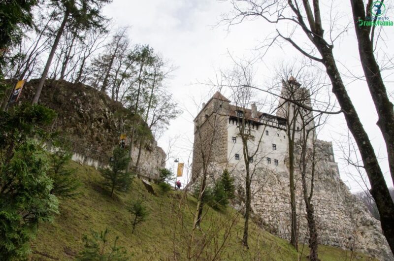 Day trip Bran Castle, Rasnov Fortress and Bear Sanctuary - Introduction