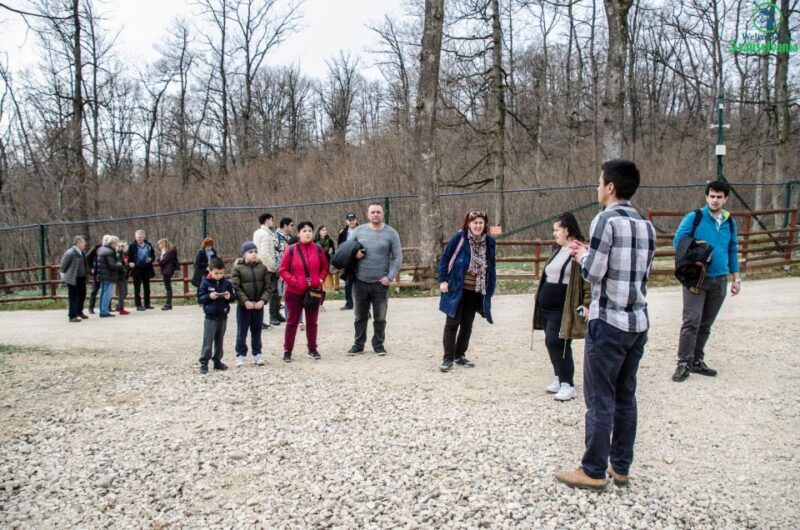 Day trip Bran Castle, Rasnov Fortress and Bear Sanctuary - FAQs