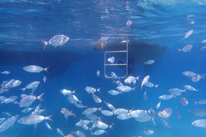 DAY TRIP - Exclusive Sailing Adventure - CORFU / PAXOS - End of the Day: Return and Sunset