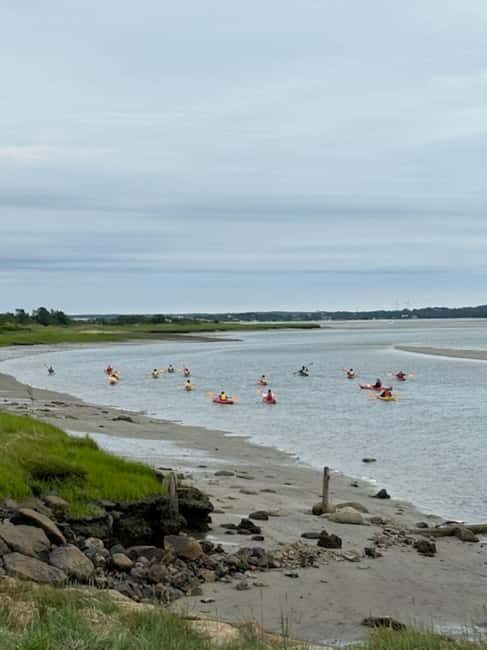 Day Trip from Boston: Guided Kayak at the Crane Estate - An In-Depth Look at the Kayak Tour