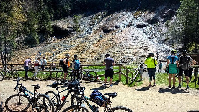 Day trip from Brasov: Bison reserve & traditional lunch - Who This Tour Is Best For