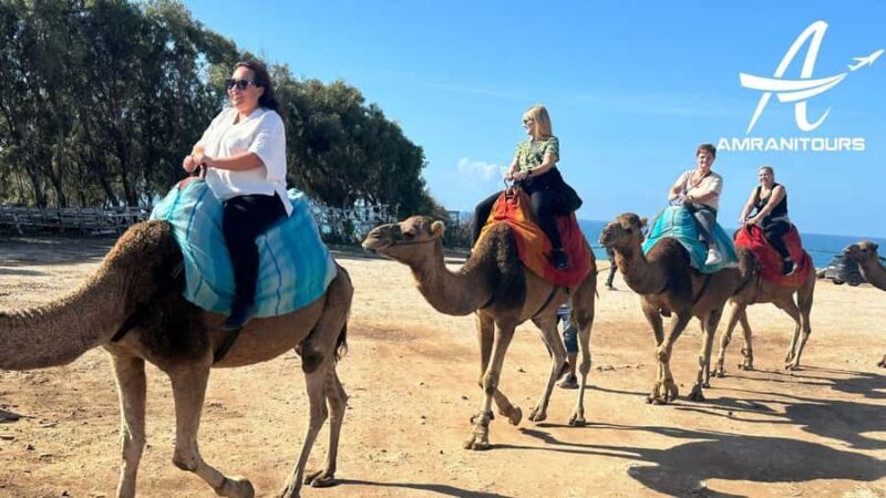 Day trip from Gibraltar to Morocco All Inclusive - Returning to Gibraltar: Ferry and Coach