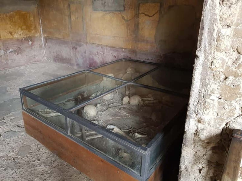 Day Trip from Rome: Explore Pompeii & Sorrento Amalfi Coast - Key Points