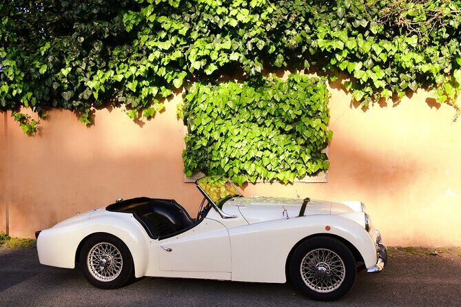 Day-trip from Rome to Roman Hills with lunch / picnic included - Final Thoughts: Is This Tour for You?