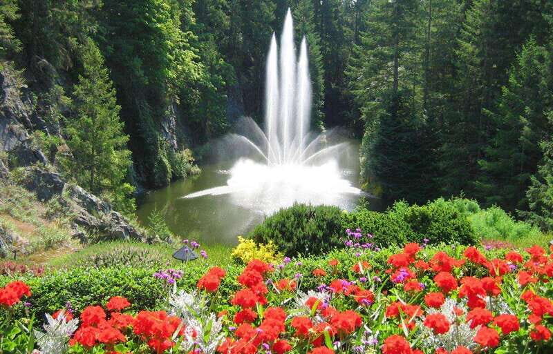 Day Trip from Vancouver to Victoria and Butchart Gardens - Who Will Love This Tour?