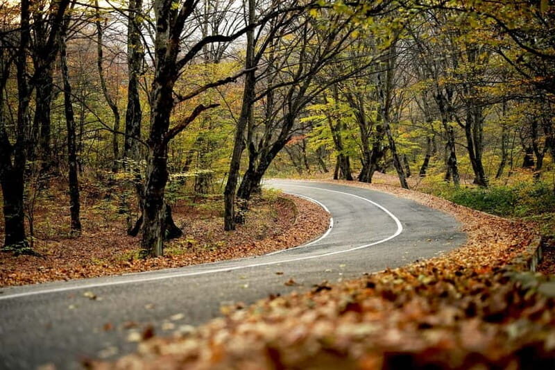Day trip in Kakheti-Beauty and Love in a Glass Wine - Is It Worth the Price?